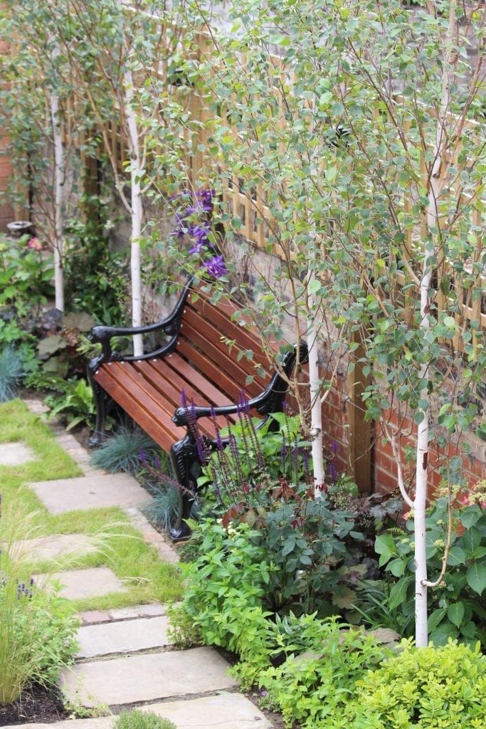 Top 10 best trees for small gardens - Living Colour Gardens