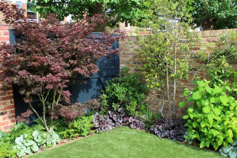 Top 10 best trees for small gardens - Living Colour Gardens
