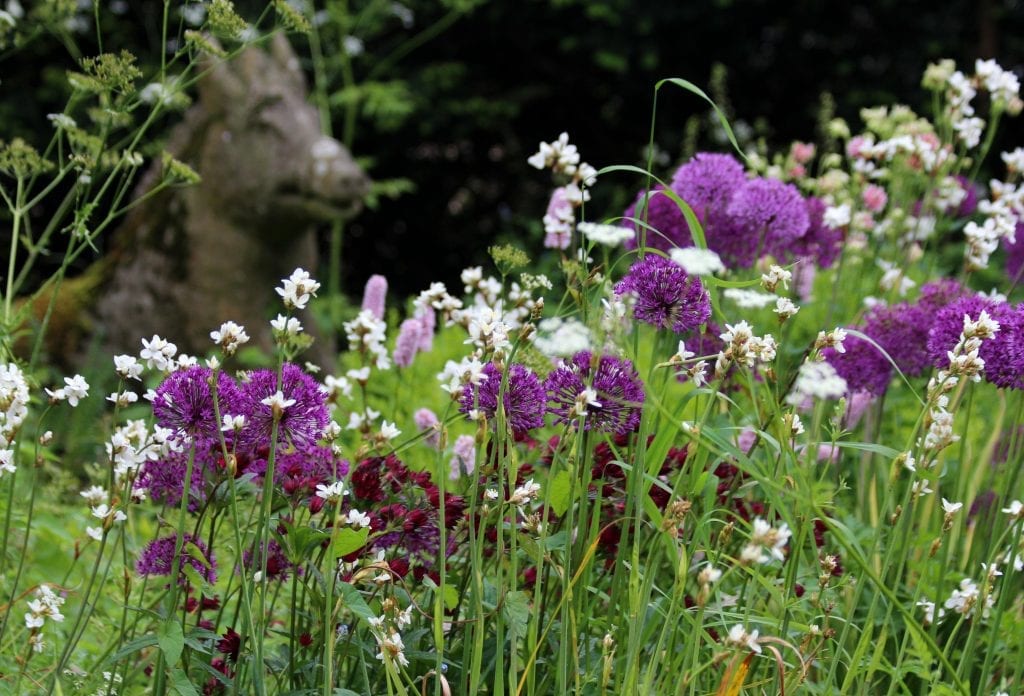 Top 10 Planting combinations - Living Colour Gardens